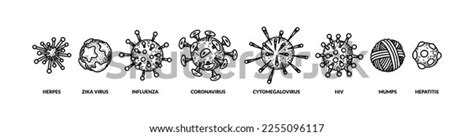 Set Hand Drawn Different Types Viruses Stock Vector Royalty Free