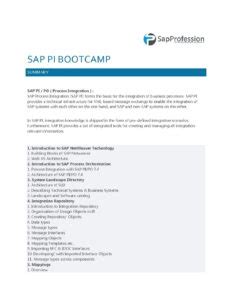 Sap Pi Bootcamp Sapprofession