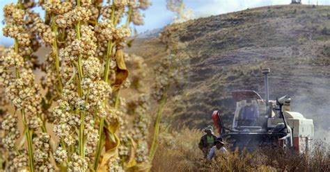 LIBRE EXPRESION EN LIMA NORTE EL PERÚ SE CONSOLIDA COMO EL PRIMER