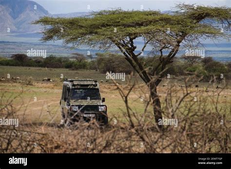 Serengeti Safari Hi Res Stock Photography And Images Alamy