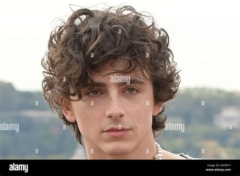 Prominente Timothee Chalamet Fotos Und Bildmaterial In Hoher