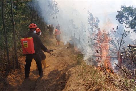 Penanganan Kebakaran Hutan Dan Lahan Saat Puncak El Nino Di Jatim