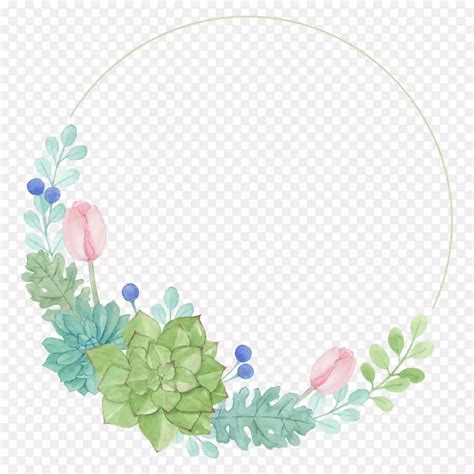 水彩绘多肉植物矢量图PNG图片素材下载 图片编号qanpavwy 免抠素材网