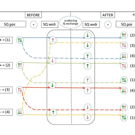 Schematic Representation Of D Combinatorial Dynamics Relevant For A