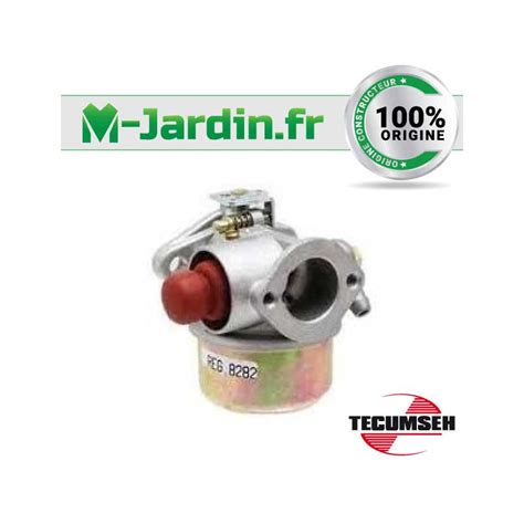 Carburateur Complet Tecumseh