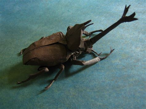 Allomyrina Dichotoma Samurai Helmet Beetle V 2