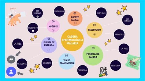 CADENA EPIDEMIOLÓGICA DE LA MALARIA