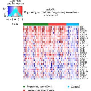 Hierarchical Clustering Of Gene Expression Data The Rows Represent