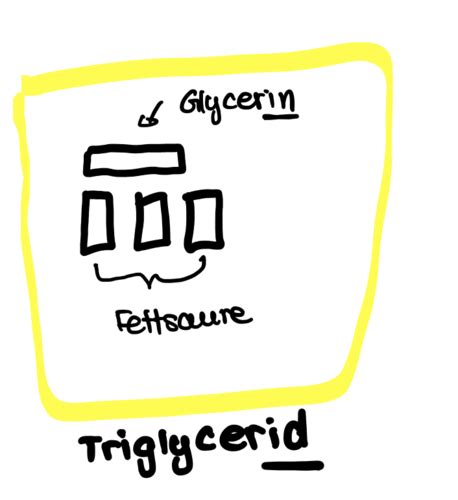 Verdauung Der Lipide Flashcards Quizlet