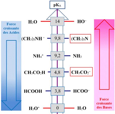 DS N 08 Force Des Acides Et Des Bases