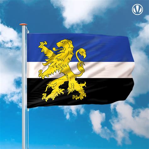 Mastvlag Hilvarenbeek 150x225cm Vlaggenclub