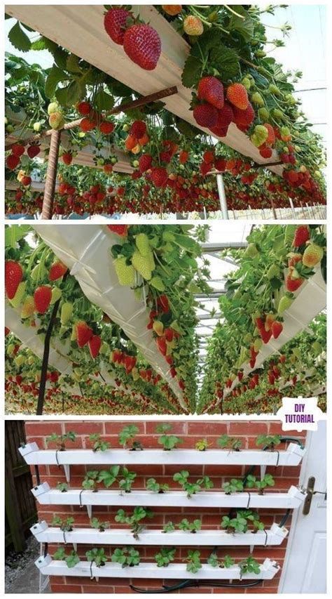 Building A Vertical Aquaponics System Howtoaquaponic Artofit