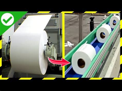 Descubre El Proceso De Fabricaci N Del Papel Higi Nico