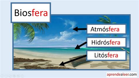 Descubre Los Elementos Clave Que Conforman La Biosfera Litosfera