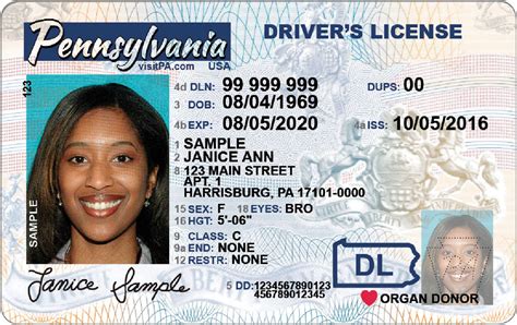 Aamva Driver License Barcode Infinitypoo