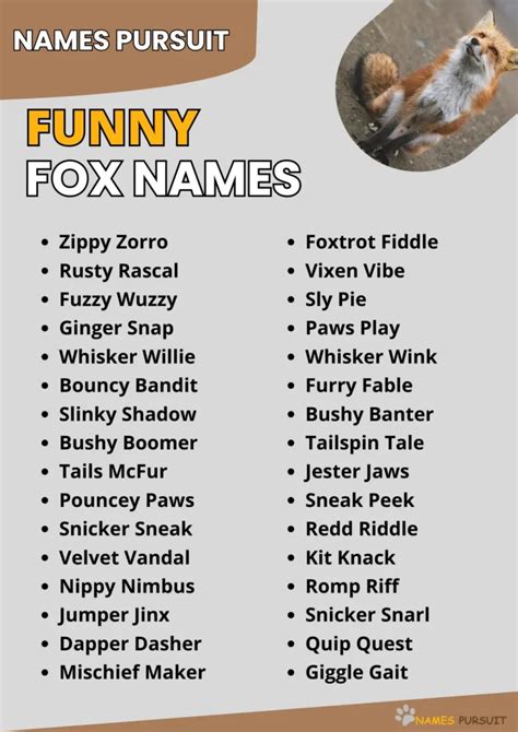 Funny Fox Names Hilarious Naming Guide