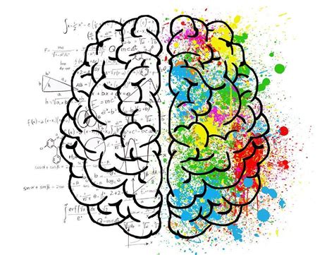 Cuales Son Los Procesos Mentales Que Estudia La Psicologia Brainly Lat