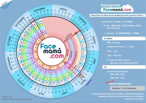 Calculadora De Embarazo Gestograma Facemama
