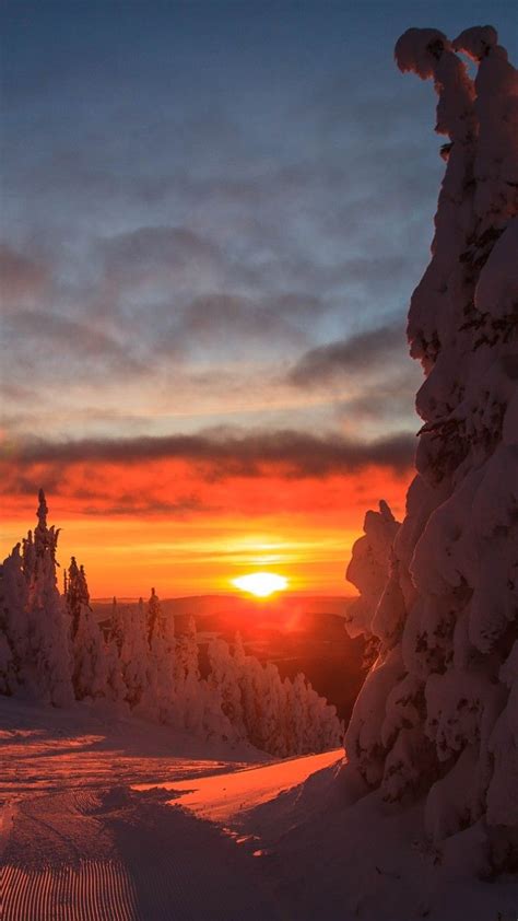 The Sun Is Setting Over Some Snow Covered Trees