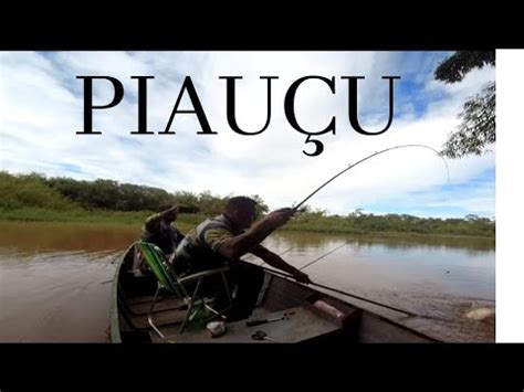Pescaria de Piauçu na cheia do rio Mogi Guaçu YouTube