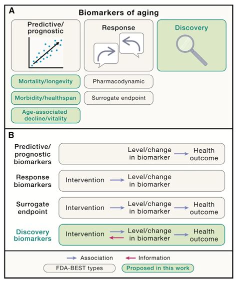Effective Biomarkers Of Aging Lifespan Io