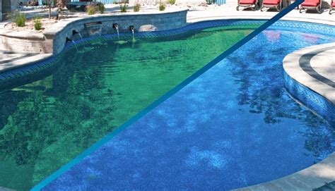 How To Prevent Get Rid Of Pool Algae Latham Pool