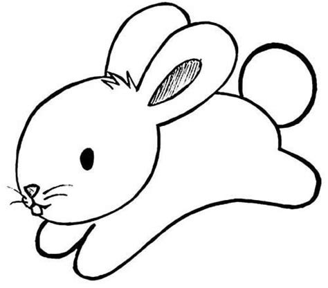 Pin By Alessandra Leite On Desenhos Educo Dezembro Bunny Drawing