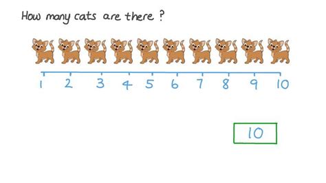 lesson counting objects up to 10 nagwa
