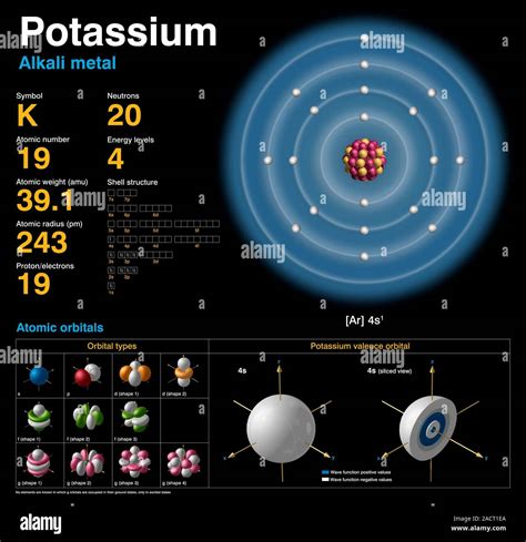 Potassium K Diagram Of The Nuclear Composition Electron