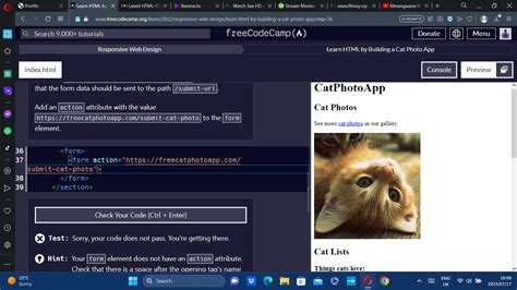 Learn Html By Building A Cat Photo App Step Html Css The