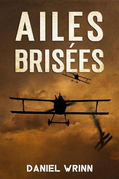 La Grande Guerre S Rie Ailes Bris Es Ebook Daniel Wrinn