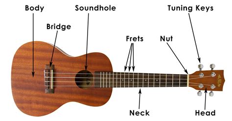 Ukulele Diagram With Labels