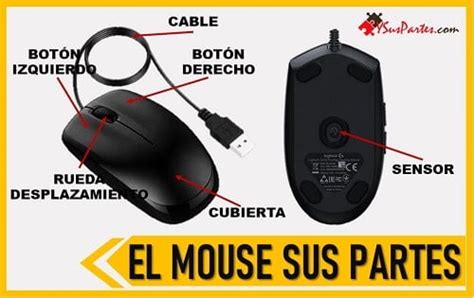 preparar Glamour papelería partes del raton del ordenador Abiertamente