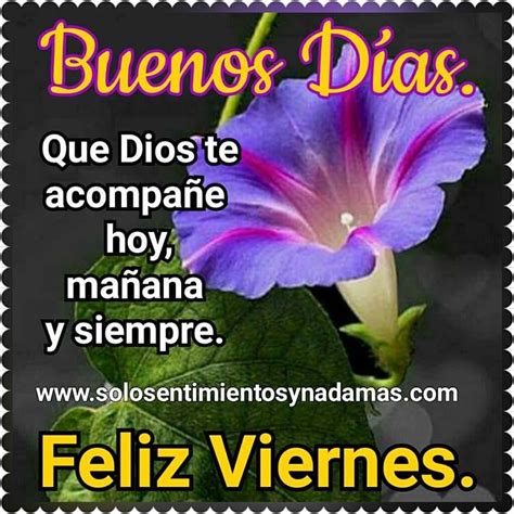 Buenos Días Que Dios te acompañe hoy mañana y siempre Feliz