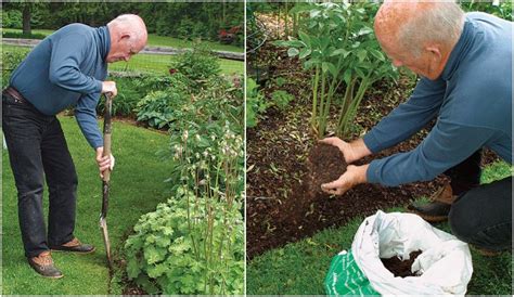 Comment faire une bordure de jardin soi même Guide par étapes et