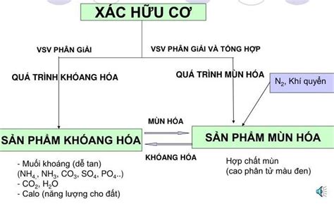Quá trình phân giải chất hữu cơ và hình thành chất mùn trong đất Công