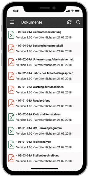 Webbasierte Prozessmanagement Software SmartProcess