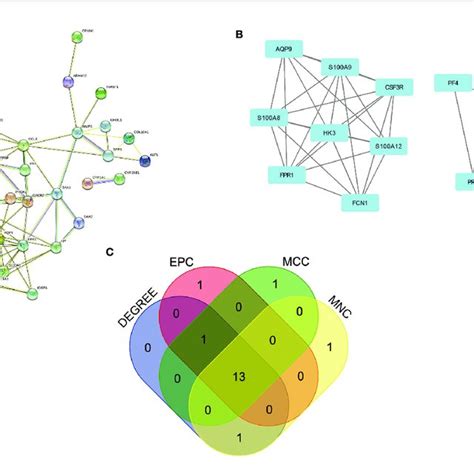 PPI Network And Identification Of Hub Genes A PPI Network Of The