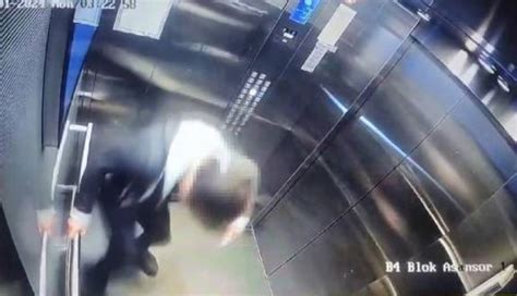 İstanbulda kan donduran olay Cani adam kediyi işkence ederek öldürdü