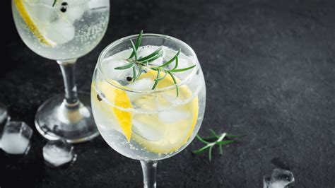 Salton Blog Como fazer gin tônica veja 3 receitas