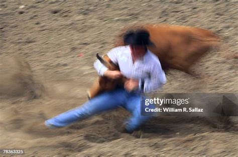 Grab The Bull By The Horns Photos And Premium High Res Pictures Getty Images
