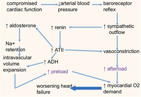 CV Flashcards Quizlet