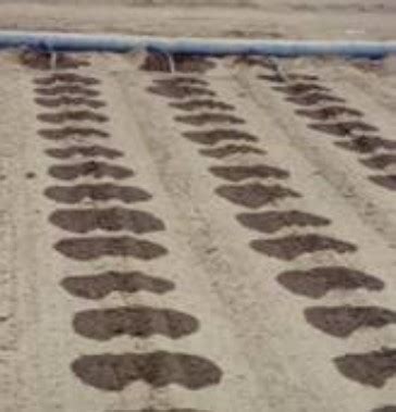 Métodos de Irrigação sistemas características e aplicações Irriga