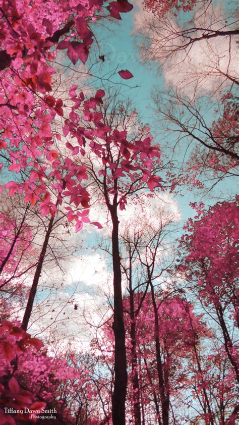 Fondo De Pantalla Bonito Para Celular