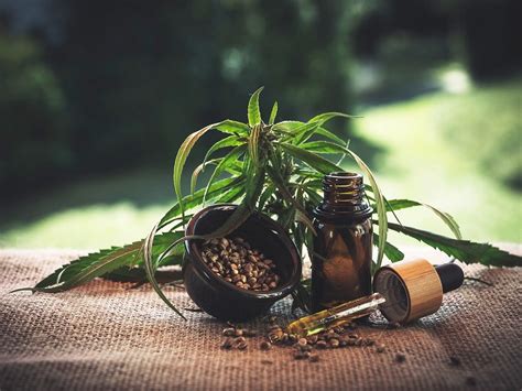 Quest Ce Que Le Cannabidiol Ou CBD Natura Sciences