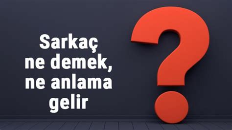 Sarkaç ne demek ne anlama gelir Sarkaç kelimesinin TDK sözlük anlamı