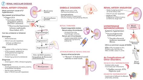 Renal System Renal Vascular Diseases Ditki Medical Biological Sciences