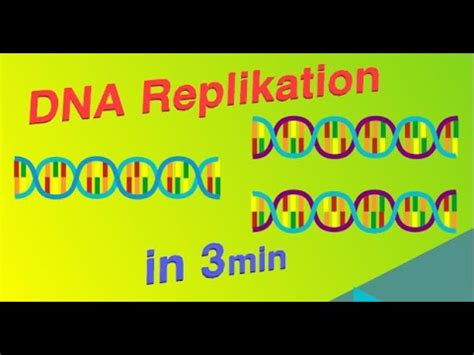 DNA Replikation Erklärvideo YouTube