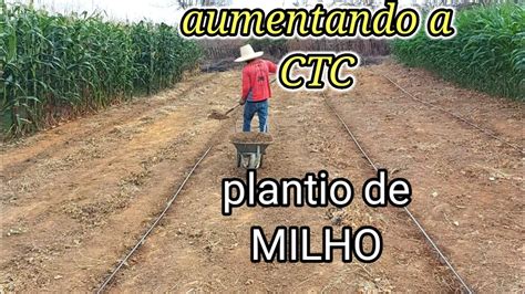 Preparando A Terra Para Plantar Milho Esterco Youtube