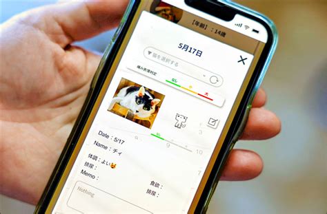 中英對照讀新聞Japans beloved cats get healthcare help from AI受到喜愛的日本貓咪獲得人工智慧